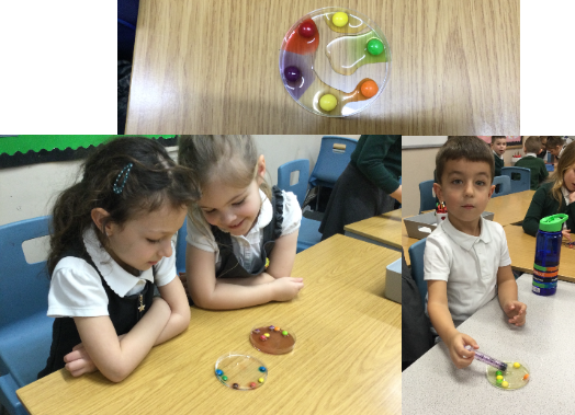 Senacre Wood Primary School